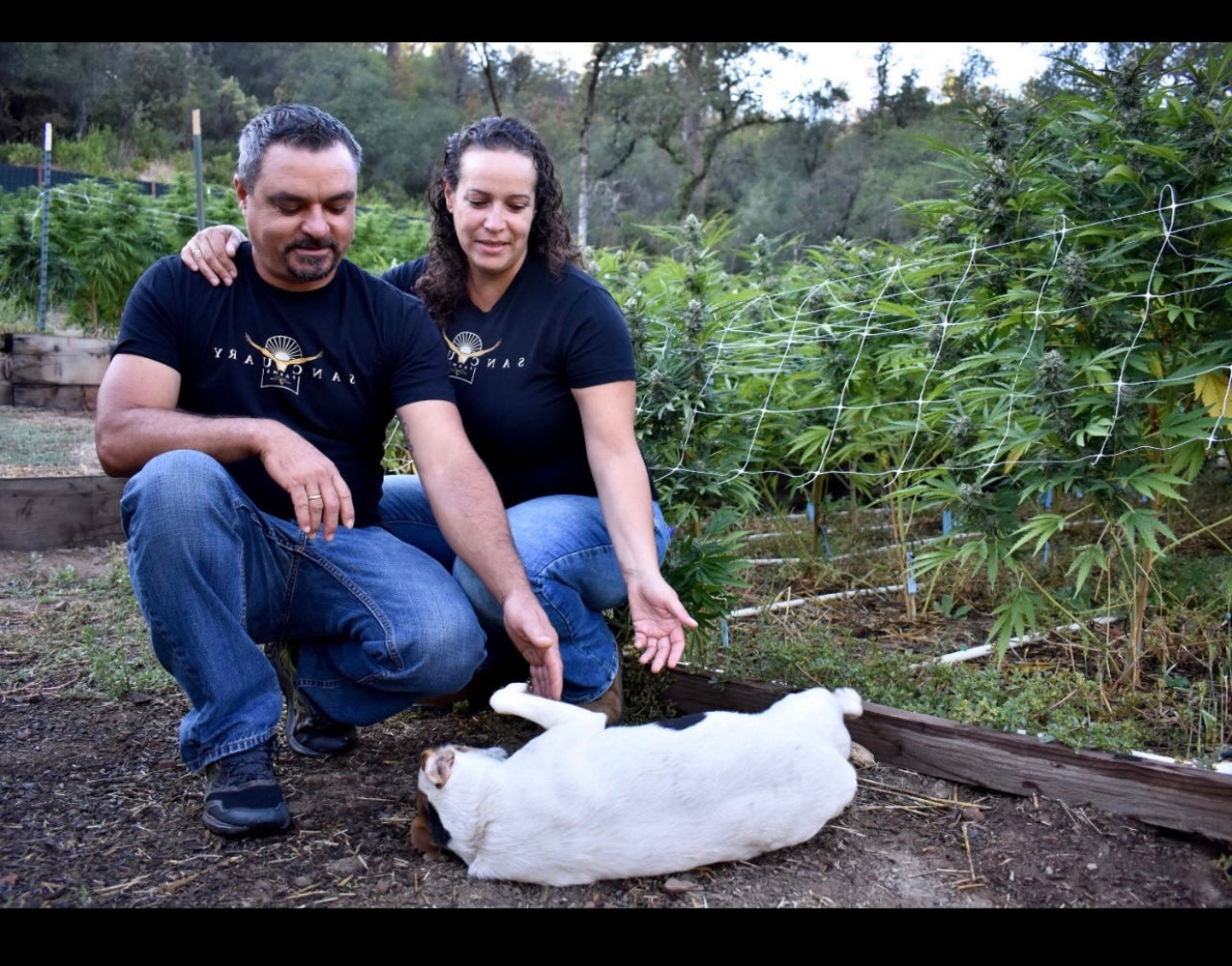 About – Sanctuary Farms CA