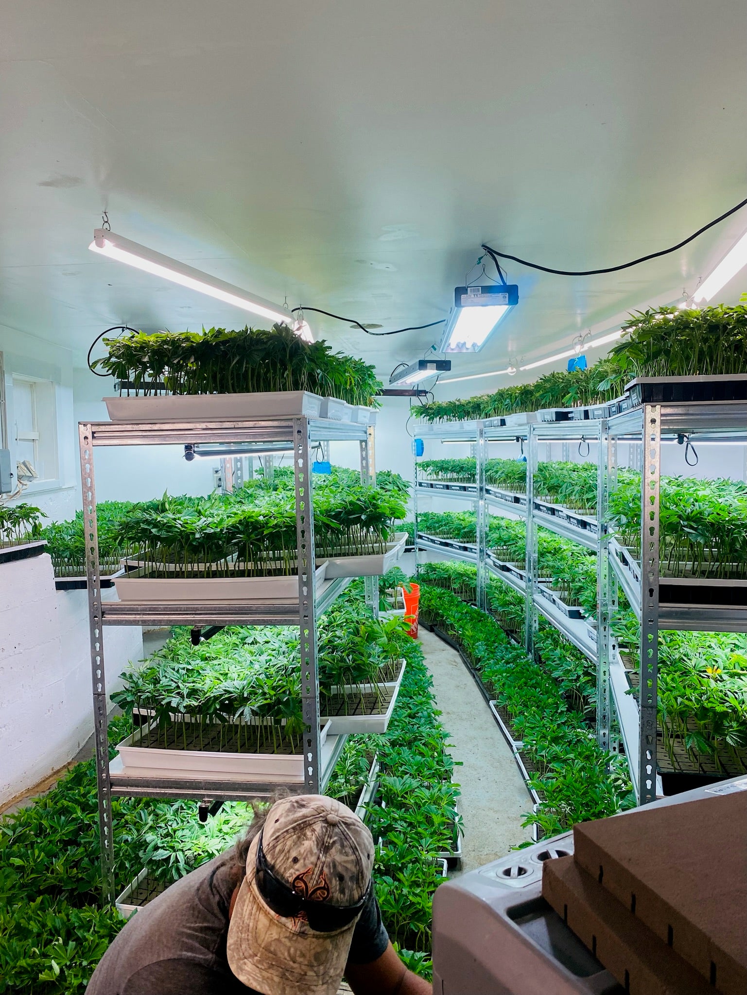 About – Sanctuary Farms CA