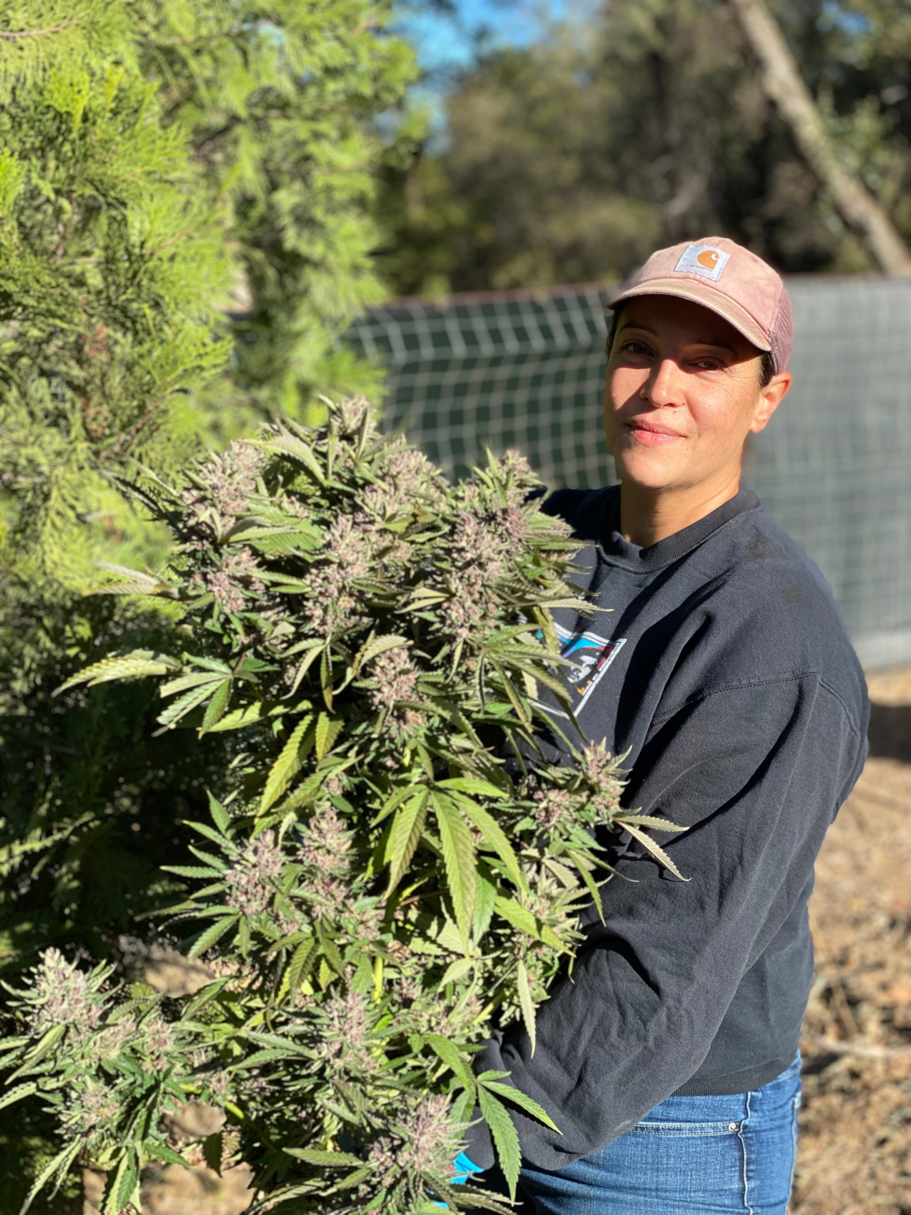 About – Sanctuary Farms CA