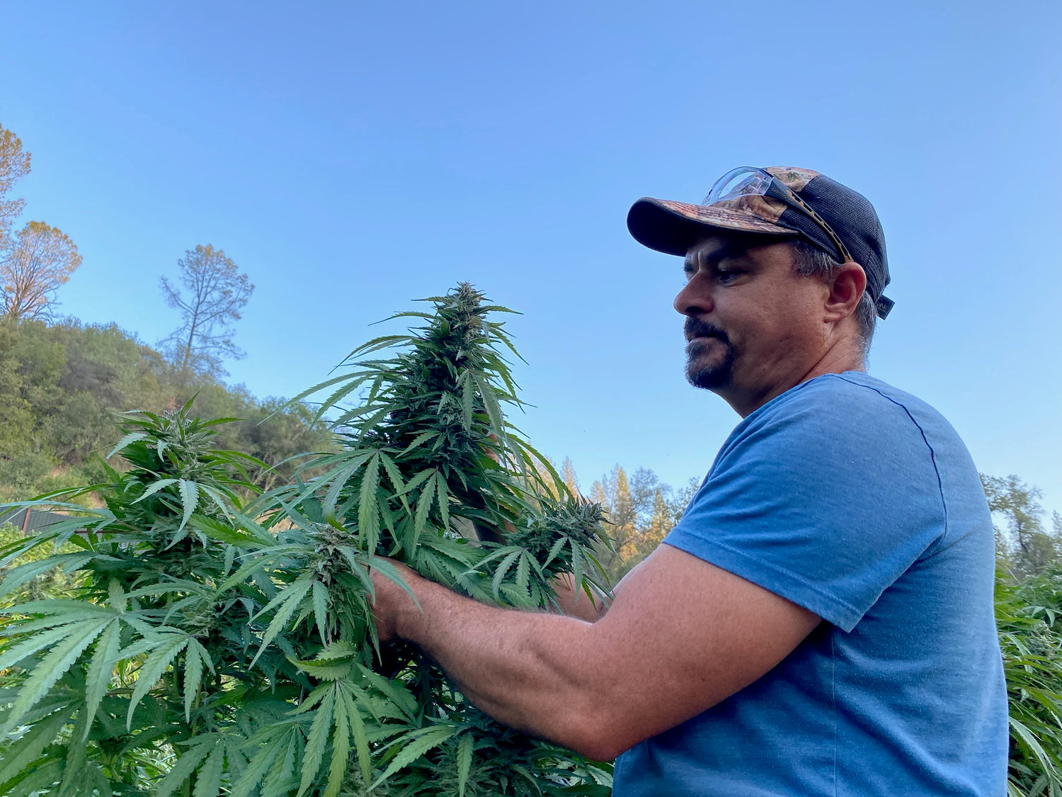 About – Sanctuary Farms CA