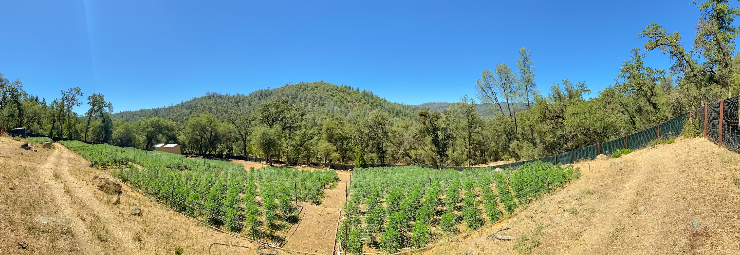 About – Sanctuary Farms CA